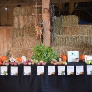 Becker Farms and Vizcarra Vineyards: Building Great Memories With ...