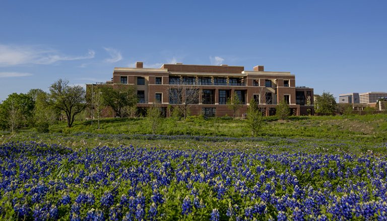 5 Ways to Spend a Day in Dallas, Texas - Tourist Meets Traveler