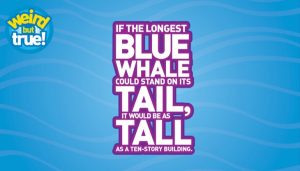 National Geographic Kids Weird But True! Television Show - Not TO Be ...