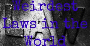 Weirdest Laws In The World Tourist Meets Traveler