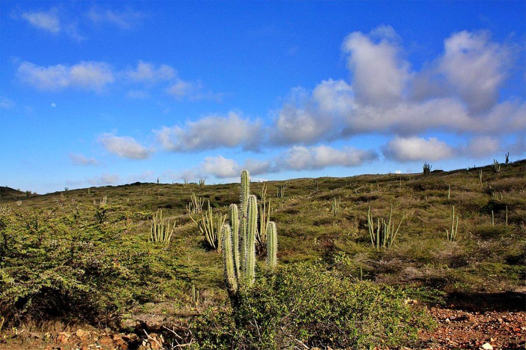 5 Best Adventures To Be Had In Aruba In The Caribbean