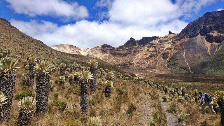 Visit The Most Beautiful And Biodiverse National Parks In Colombia