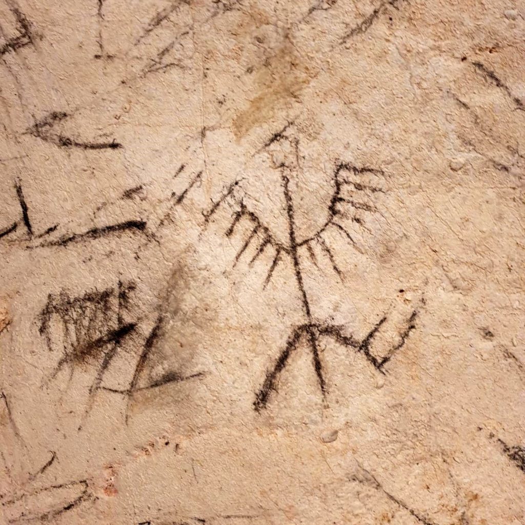Cueva De La Pileta: Fascinating Cave With Paleolithic Art In Spain