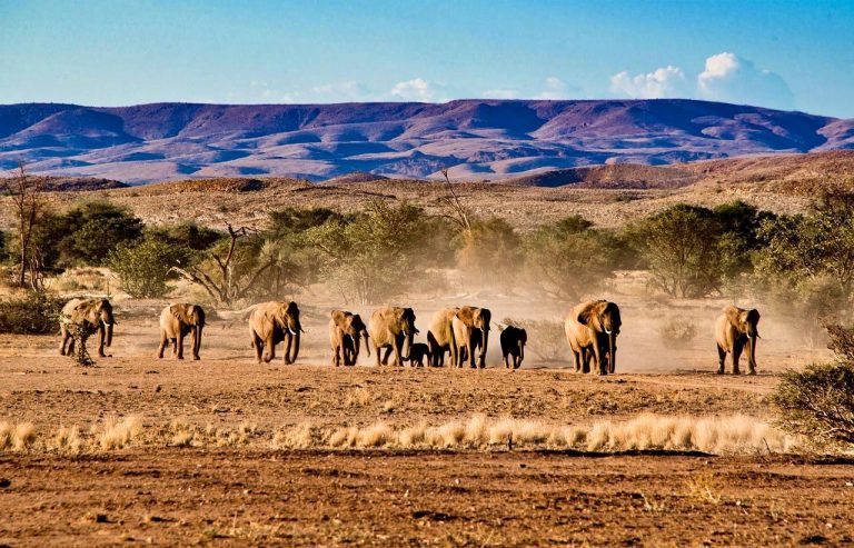 4 Most Beautiful National Parks To Visit In Namibia