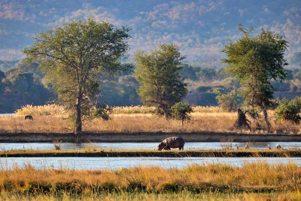3 Top National Parks For A Safari In Zimbabwe In 2023