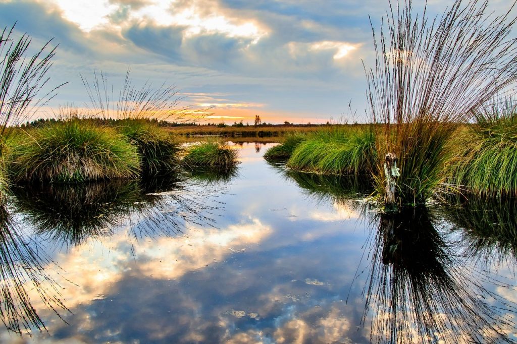 3 Of The Best National Parks And Nature Reserves In Belgium