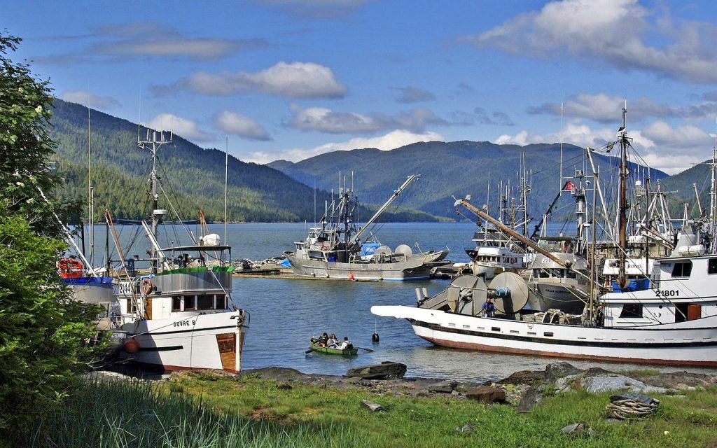 Princess Cruises Replaces Port Of Call On Alaska Cruises To Protect ...