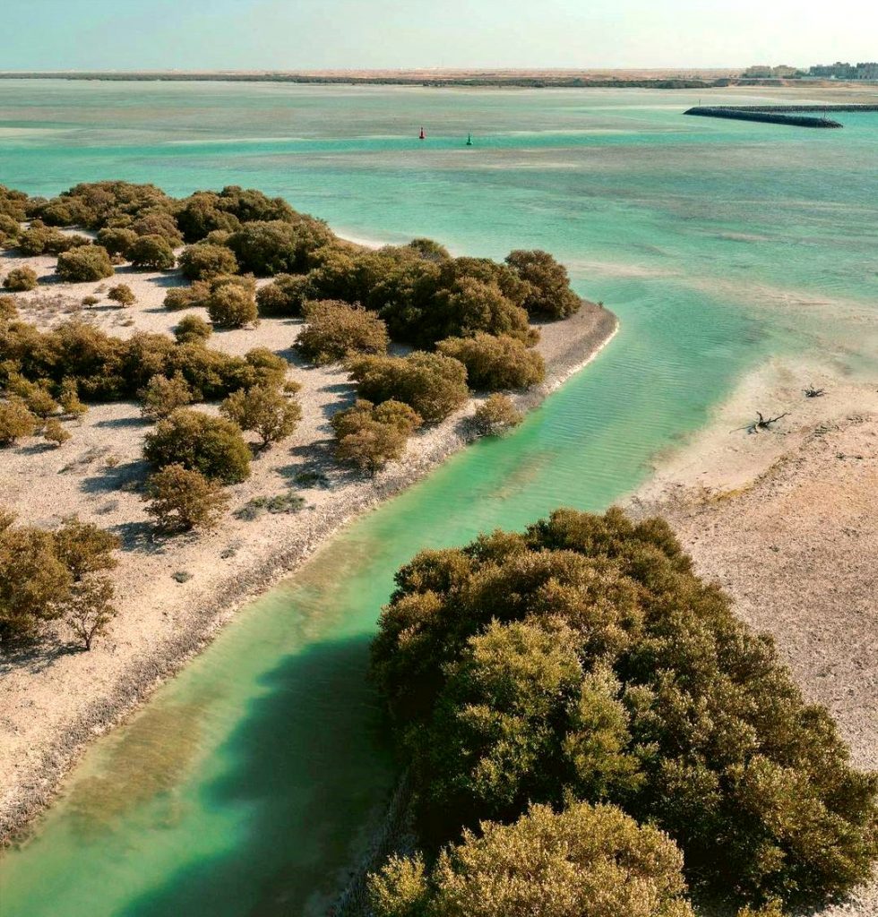 5 Best Adventures To Try Out On Vacation In Qatar