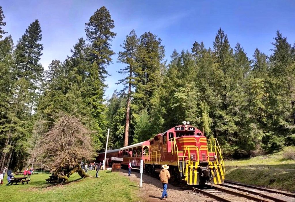 Take A Vintage Train To A Secret Bar In California’s Redwood Forest