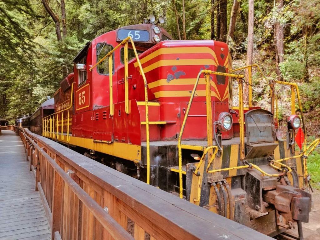 Take A Vintage Train To A Secret Bar In California’s Redwood Forest
