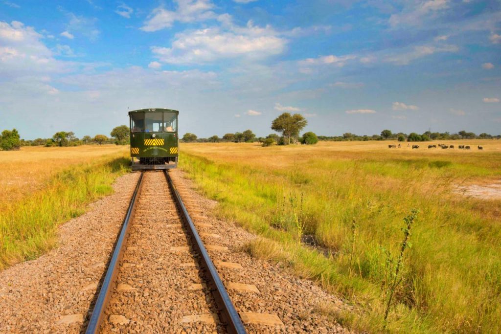 Experience A Unique Safari In Zimbabwe On The Elephant Express