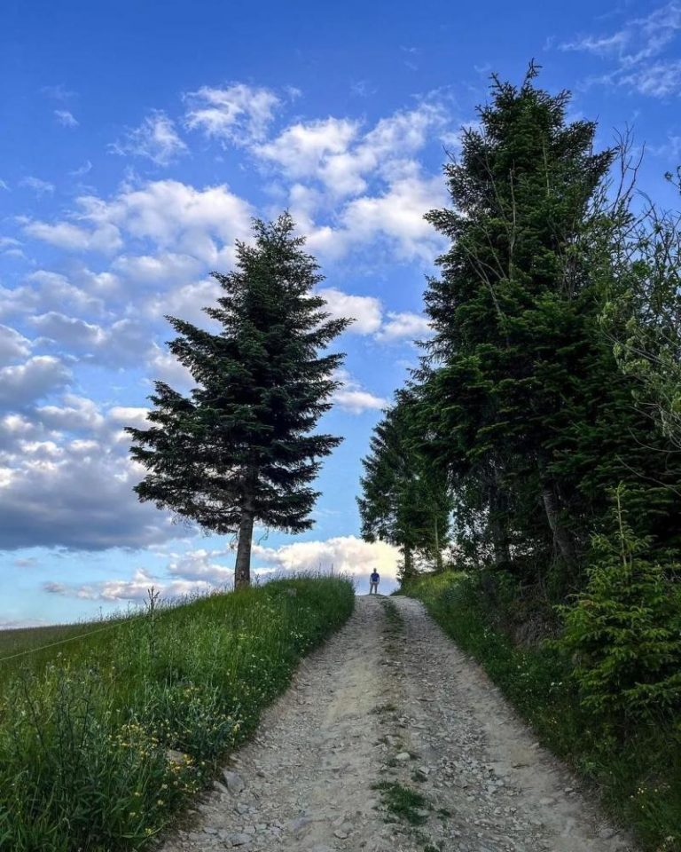 Hike Via Transilvanica Through Spectacular Scenery In Romania