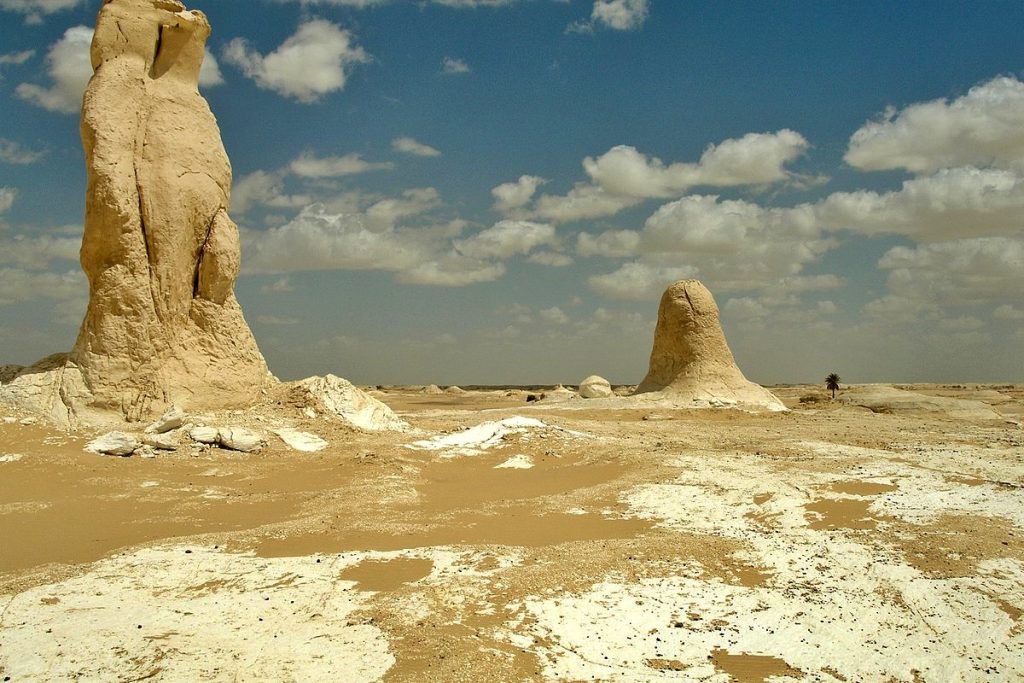 Visit Some Of Egypt’s Best National Parks This Year